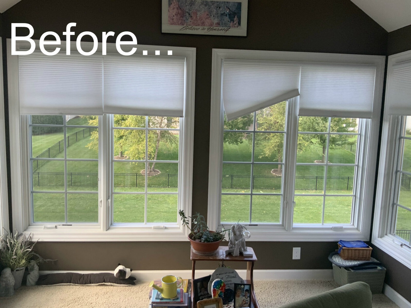 Everyone LOVES "Before & Afters" | EcoSmartShades.com